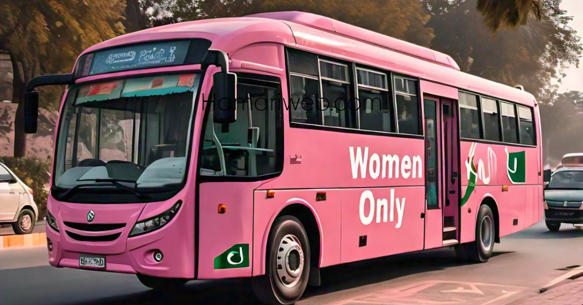 Pink Bus Service Islamabad: Routes and Timings Update! - Geo Live Tv