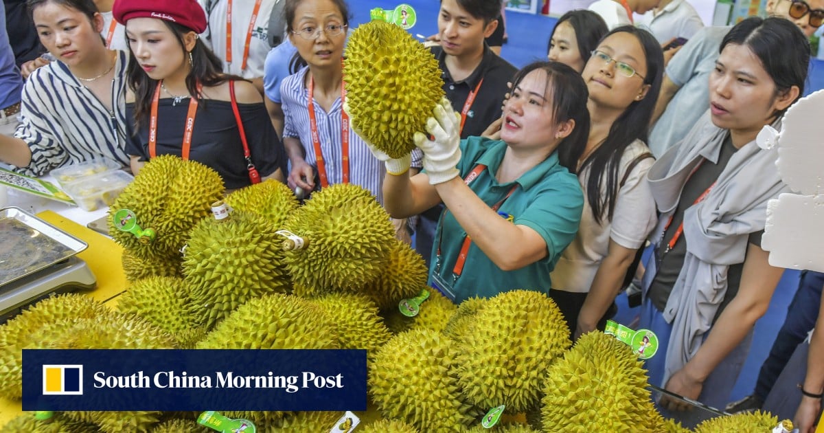 China toughens import rules on Vietnamese durians after detecting ...