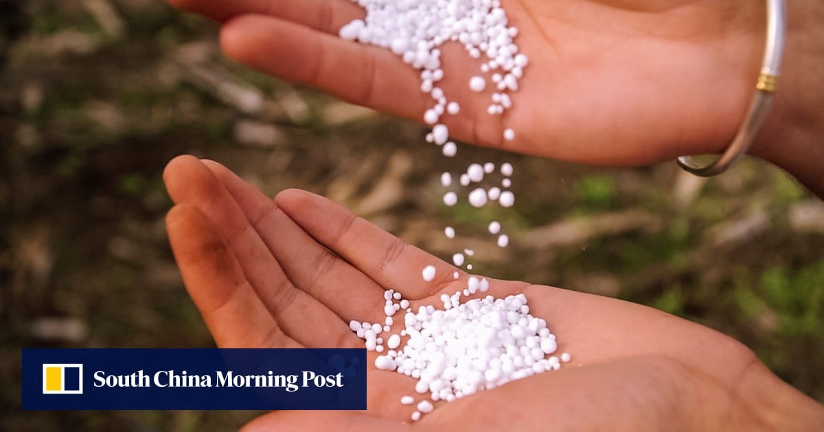 China’s shipments of major fertiliser surge 600%, signalling softer ...